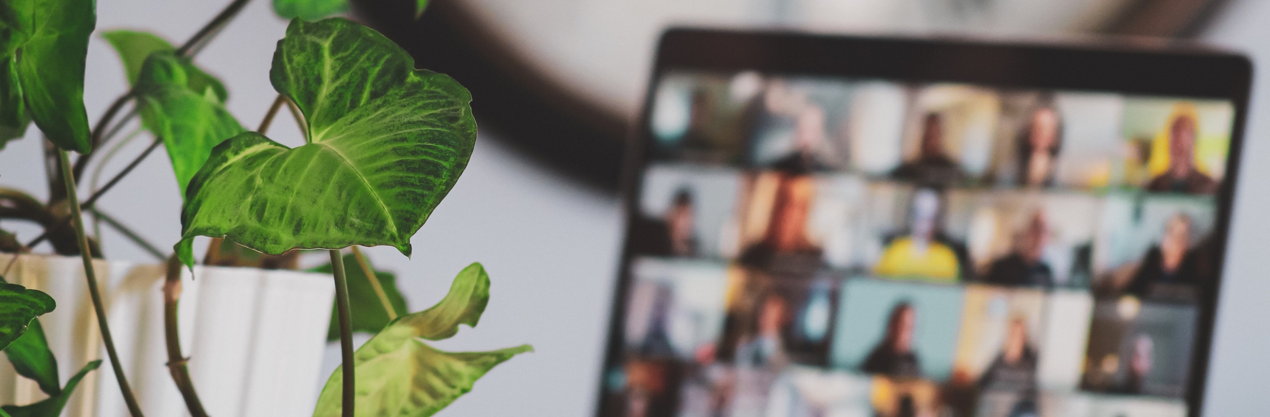 Celebrating Leadership: Doug Thorpe Honored with the 2025 Distinguished ...